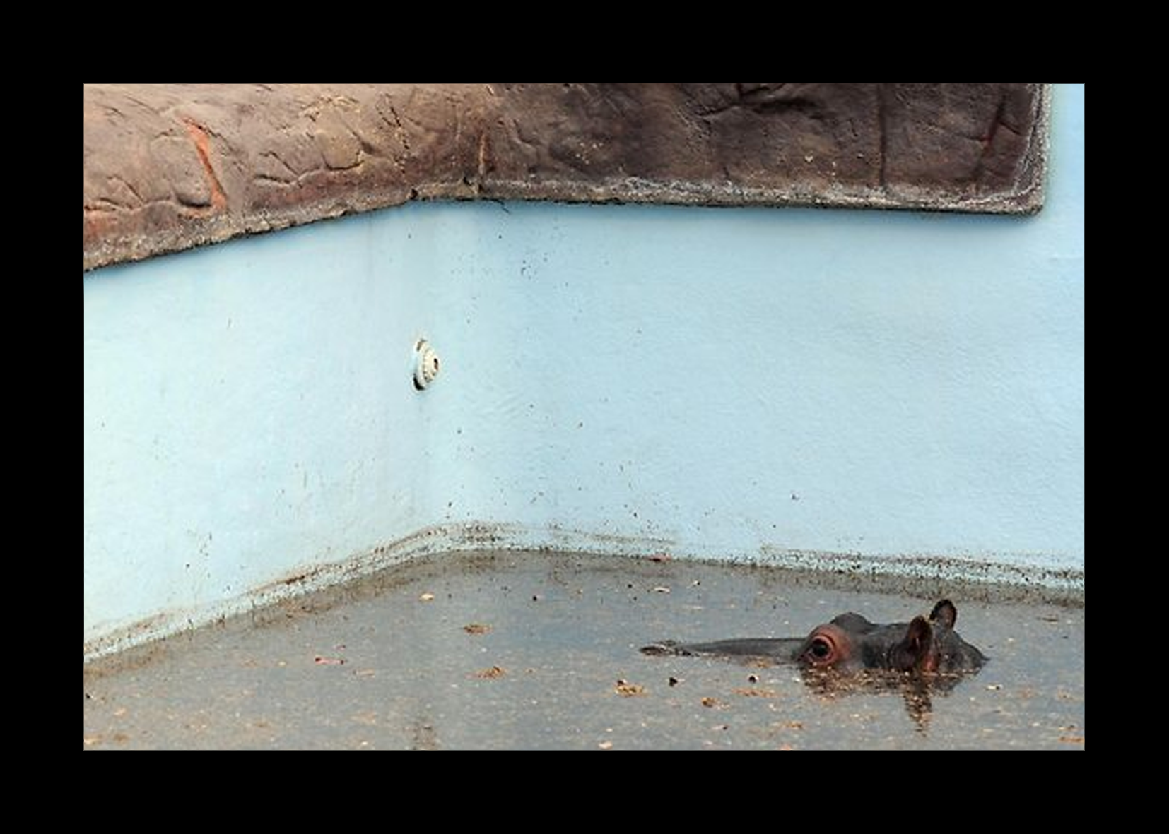 The Not Top 5 pools | 1000pools