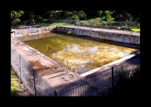 1000pools | the great pool quest